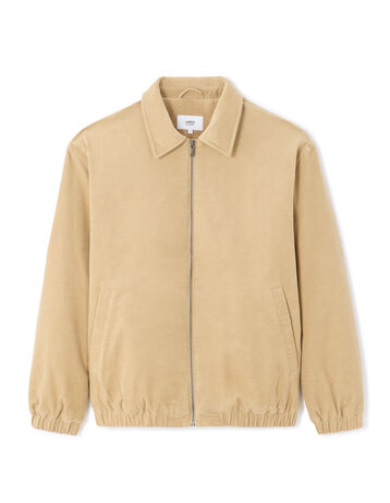 Permanents - Page 8 | celio be normal