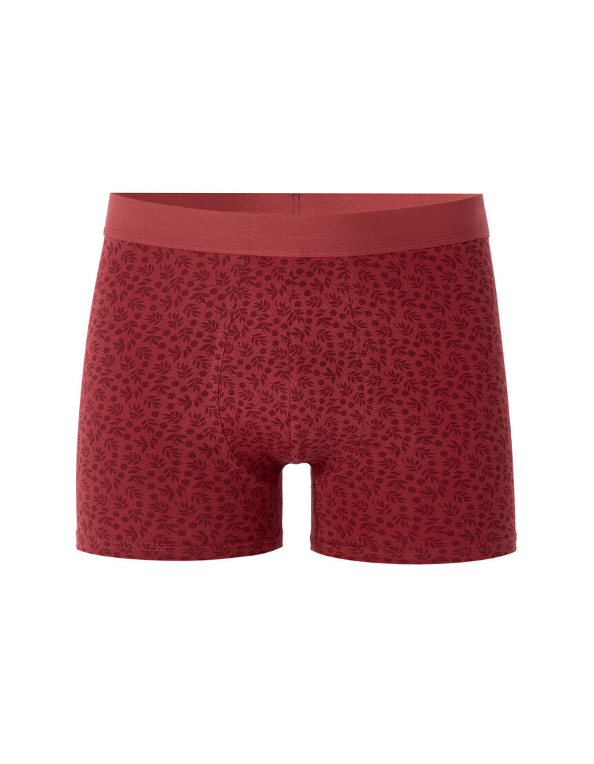 Boxer pour Homme - Page 2 | celio be normal