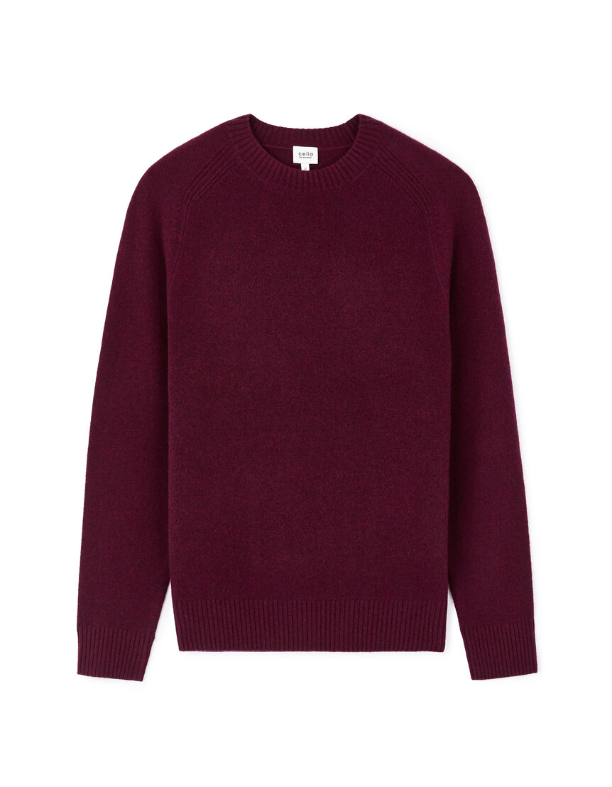 Pull Bordeaux Homme | celio be normal