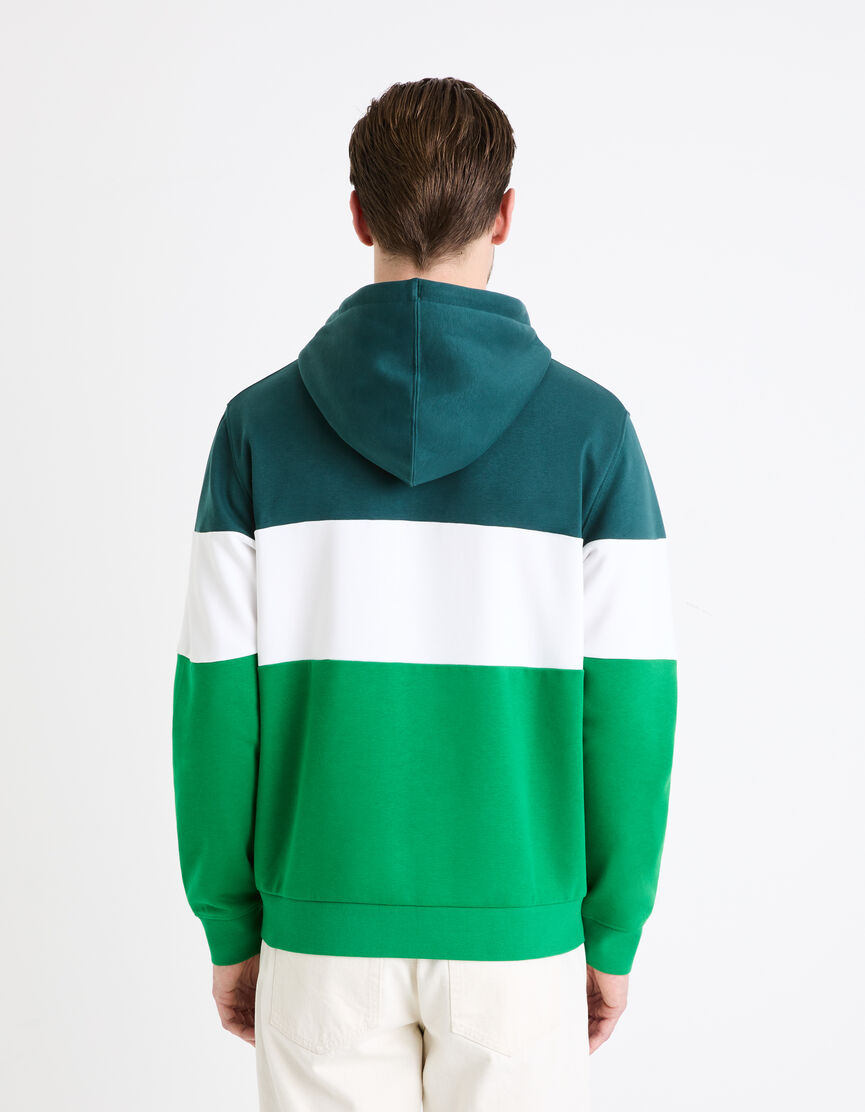Sudadera Con Capucha De Bloques De Color Verde Celio Be Normal